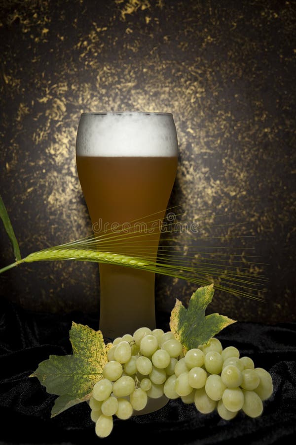 Foamy Beer in a Beer Glass on a Dark Background Stock Image - Image of ...
