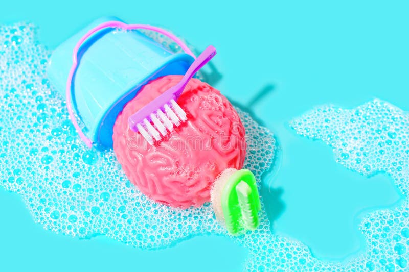 Foamy Mind Spa: Human Brain Model Bathed in Foam Stock Image - Image of ...