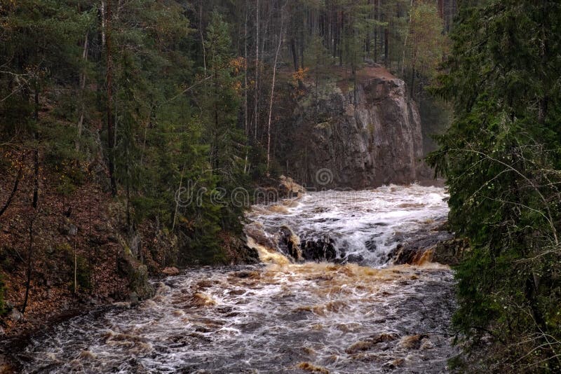 Foamy River Rushing through the Rocks in the Forest Stock Image - Image ...