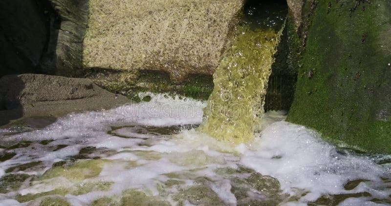 Foamy Water Spouting from a Pipe Embedded in a Rock Wall. Slow Motion ...