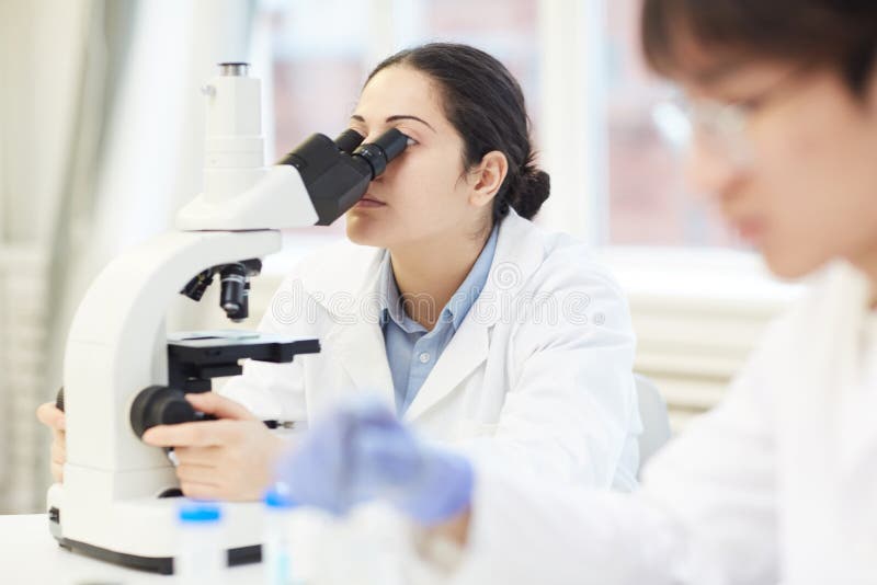 Young Indian Biologist Examining Sample Stock Photo - Image of ...