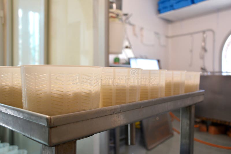 Cheese Tray in Its Molds Inside the Artisan Cheese Factory. Stock Photo ...