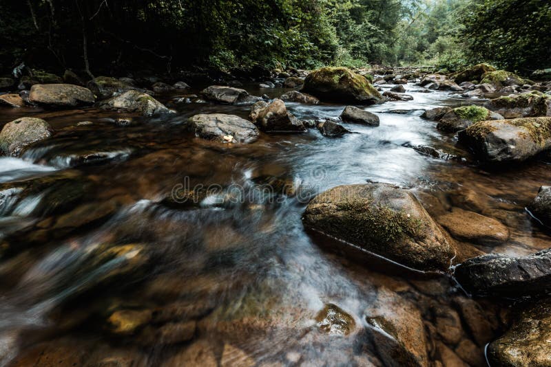 Focus of Flowing Stream Near Wet Rocks with Green Mold Stock Photo ...