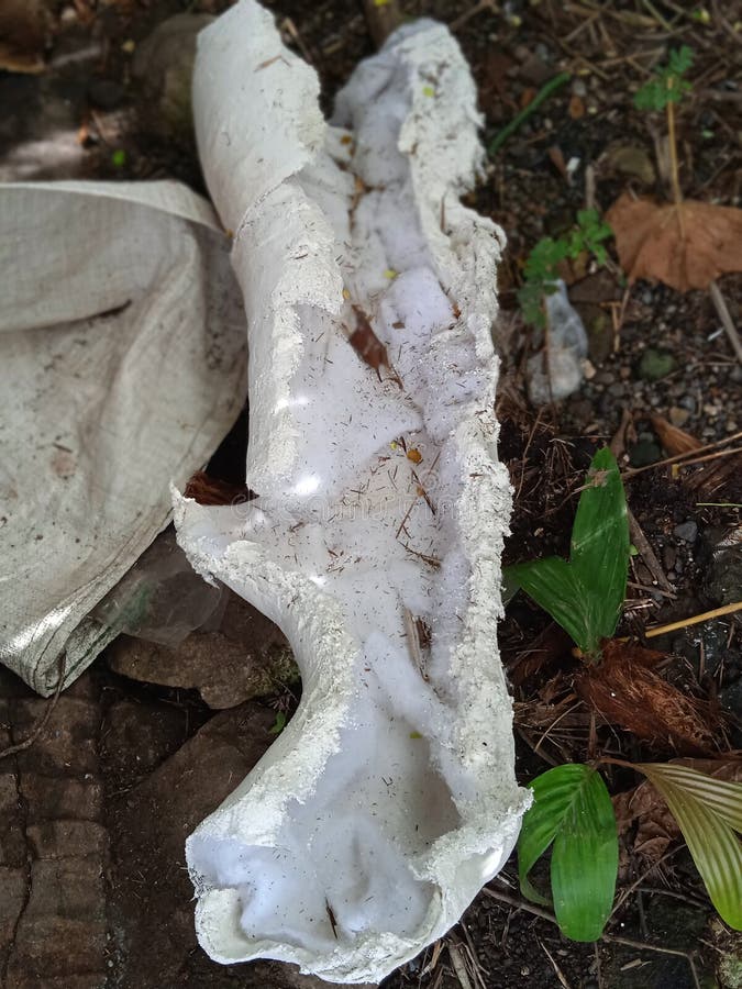 Focus on the gypsum stock image. Image of former, broken - 269293415