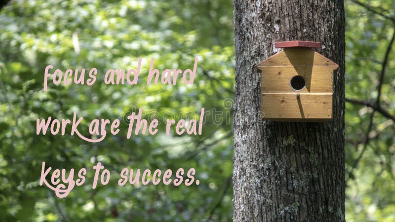 209 Success Slogans Stock Photos - Free & Royalty-Free Stock Photos ...