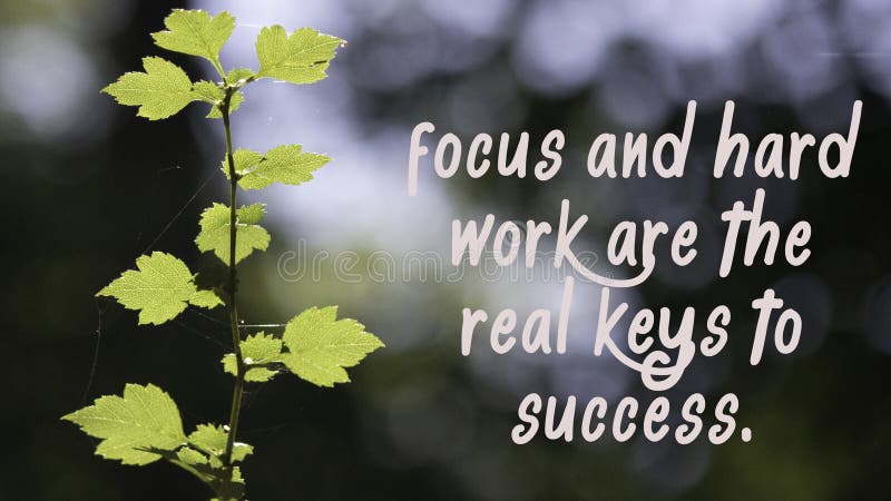 Focus and Hard Work are the Real Keys To Success. Success Slogans Stock ...