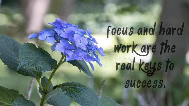 Focus and Hard Work are the Real Keys To Success. Success Slogans Stock ...