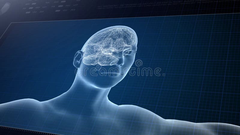 Human Brian Study on Diagnostic Computer Display. 3d Animation Stock ...