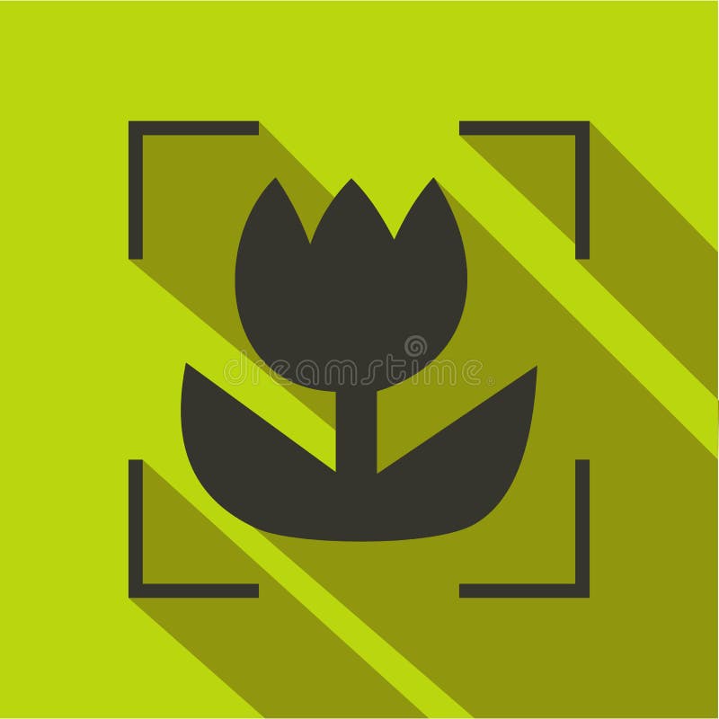 Flower Green Screen Stock Illustrations – 6,822 Flower Green Screen ...