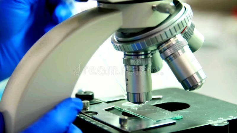 Focus of Microscope on White Table Stock Image - Image of education ...