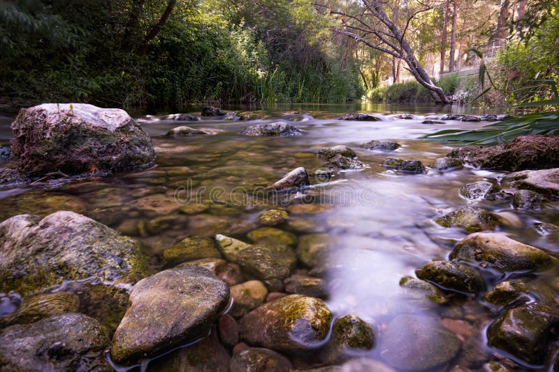 In Focus Rocks in the Riverbed Stock Photo - Image of park, long: 259464594