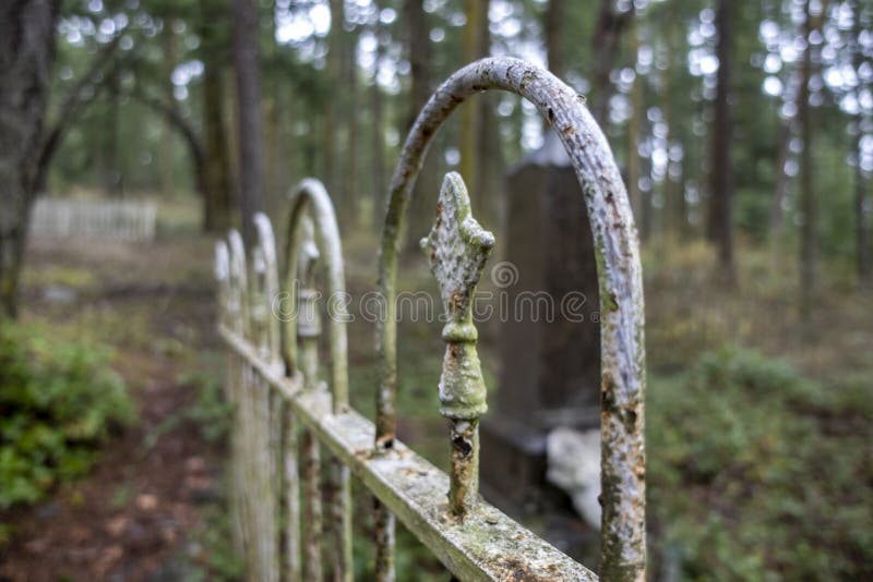 Selective Focus on a Rusted, Wrought Iron Fence in a Large, Forested ...