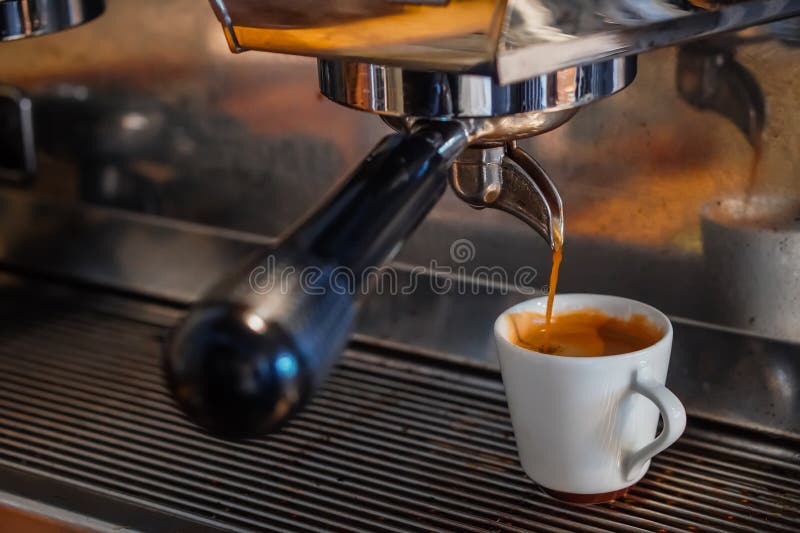 Cupfocus Stock Photos - Free & Royalty-Free Stock Photos from Dreamstime