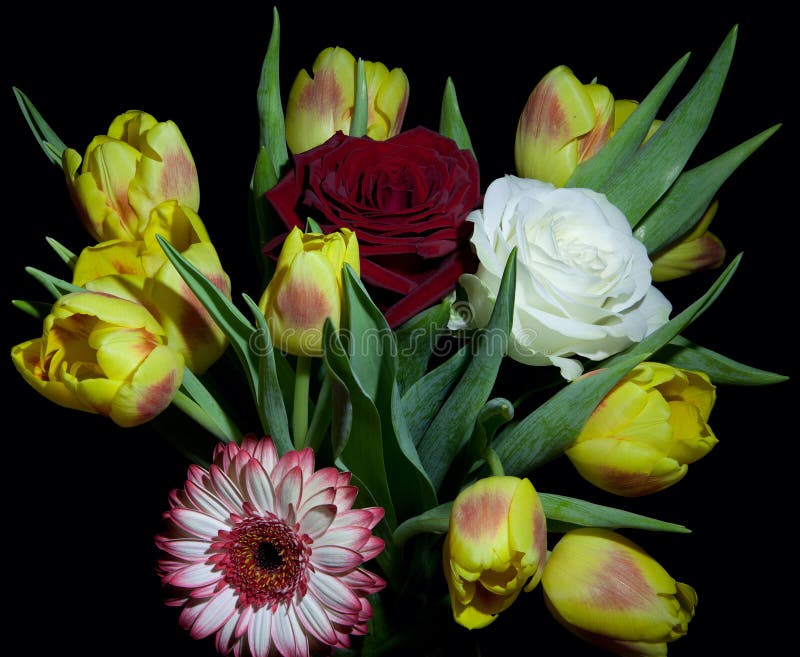 Focus Stacking of a Bouquet of Flowers Stock Photo - Image of stacking ...