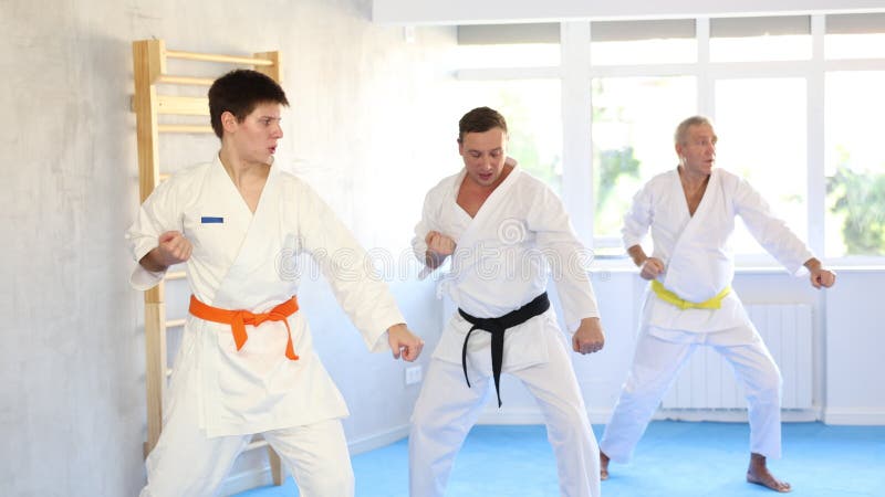 Focused Beginner Young Judo Fighter in Kimono Standing in Attacking ...