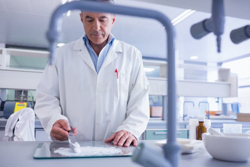 Focused Biochemist Preparing Some Medicine Stock Image - Image of ...