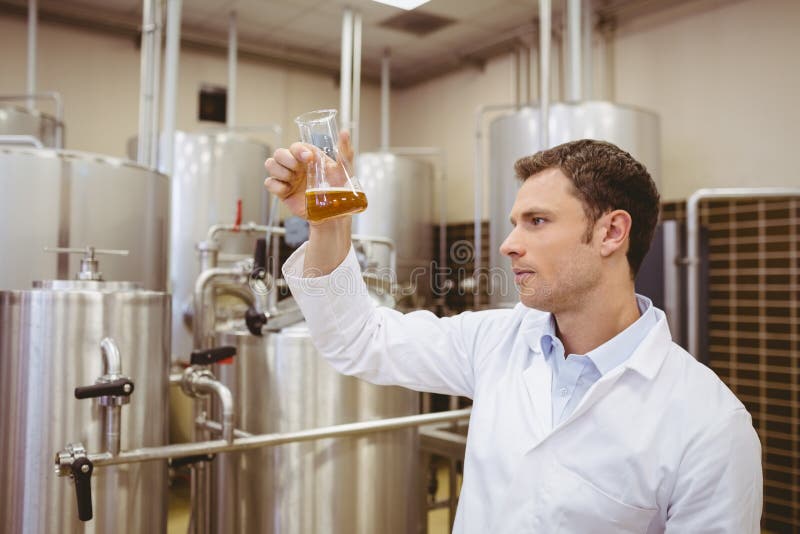 Focused Brewer Examining Beaker with Beer Stock Photo - Image of ...