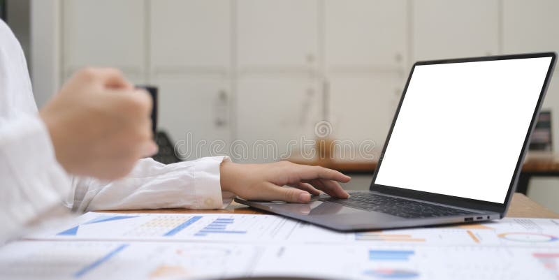 Focused Businesswoman Using Laptop Computer at Bright Modern Office ...