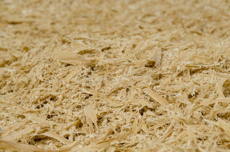 Focused Detailed Texture of Many Wood Shavings Stock Image - Image of ...