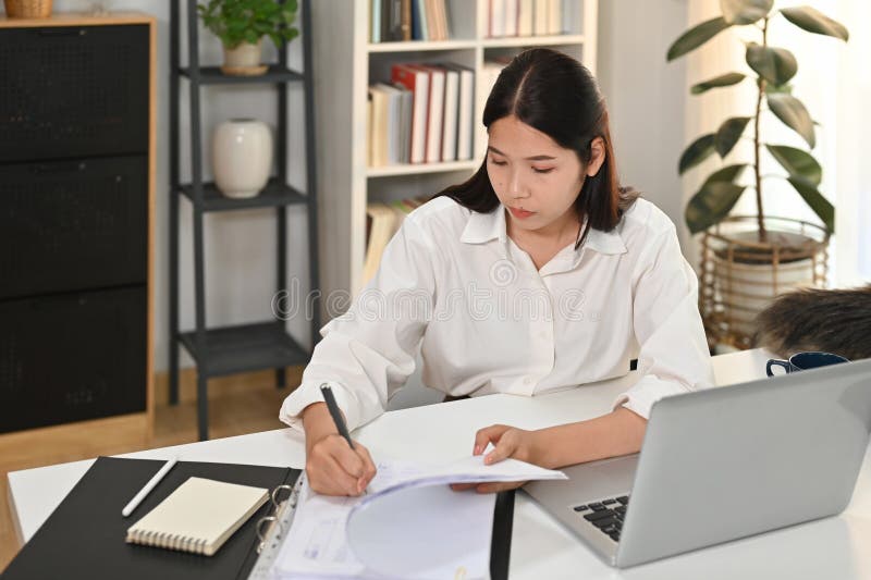 Focused Female Accountant Preparing Financial Reports, Analyzing Work ...