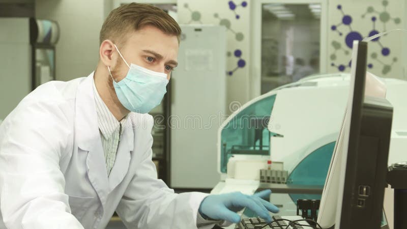 Focused Laboratory Worker Analyzes Test Results on a Computer Stock ...