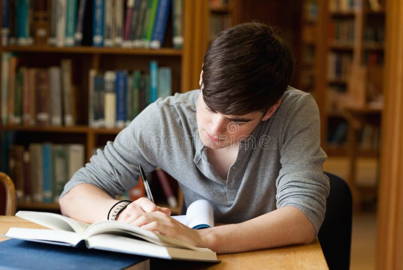 Focused Male Student Working Stock Photo - Image of person, school ...