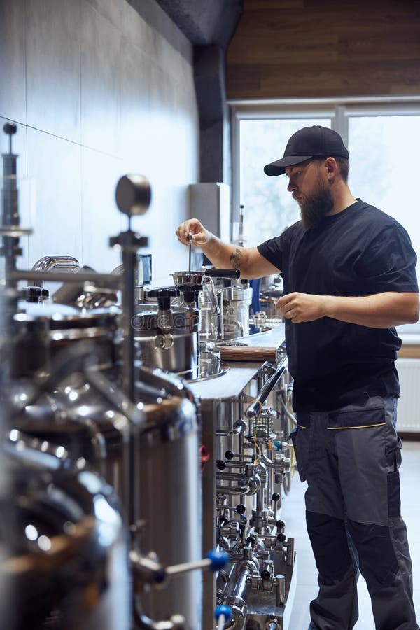 Focused on Precision, Brewery Technologist Checking Brewing Machinery ...
