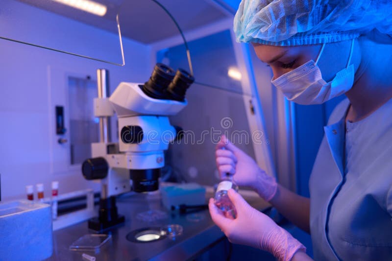 Focused Researcher Preparing for Microscopic Examination of Biological ...