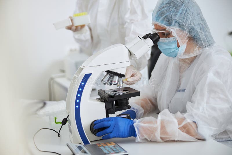 Researchers Observing a Blood Sample Mounted on the Glass Slide Stock ...