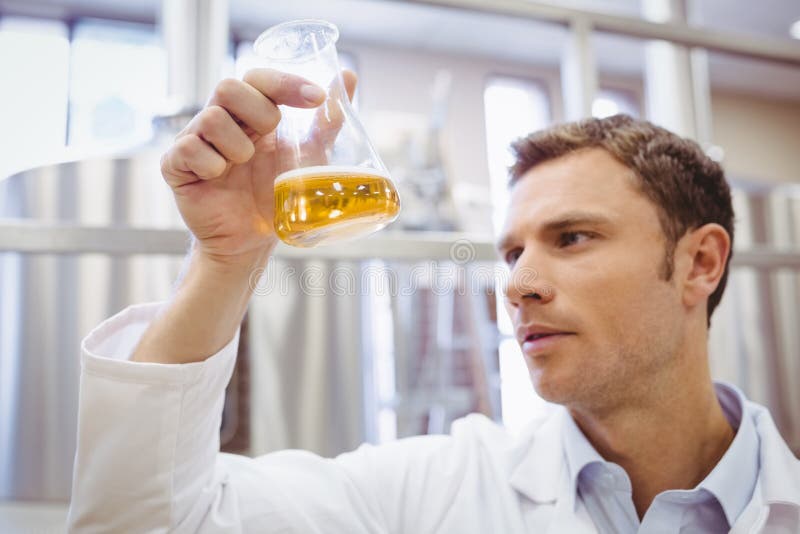 Focused Scientist Examining Beaker with Beer Stock Image - Image of ...