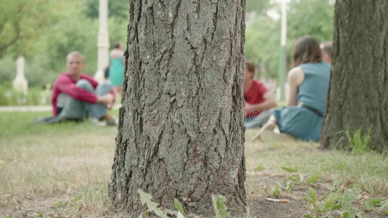 Focused View of Tree Body and Defocused People on Background. Texture ...