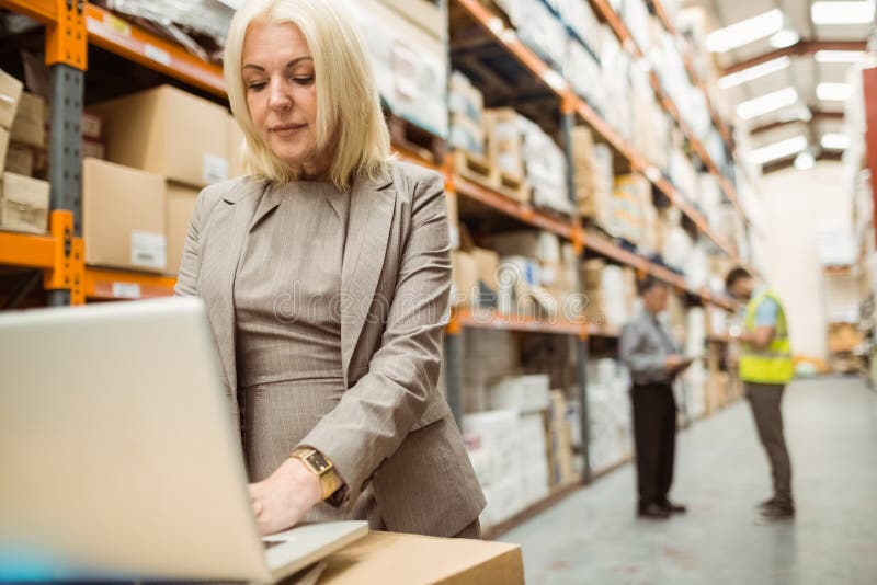 Focused Warehouse Manager Working on Laptop Stock Image - Image of ...