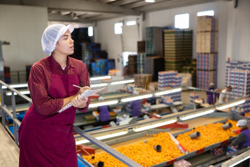 Young Female Supervisor Inspecting Workflow of Citrus Sorting Workshop ...