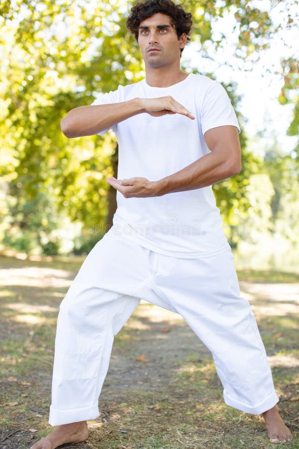 Focused Young Man Practicing Tai Chi Stock Photo - Image of young ...