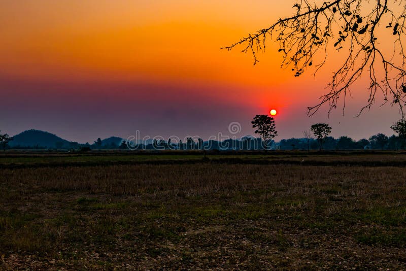 Focusthe Sun and Soft Tone Filter :sunset Over Rice Field. Stock Image ...