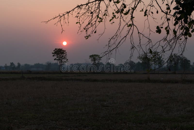 Focusthe Sun and Soft Tone Filter :sunset Over Rice Field. Stock Image ...