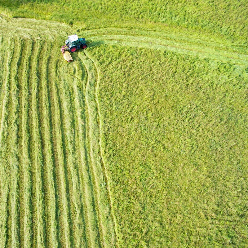 Fodder Cutting and Processing Stock Image - Image of farmers ...