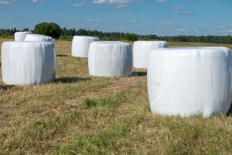 Fodder for the winter stock image. Image of bale, agriculture - 60963137