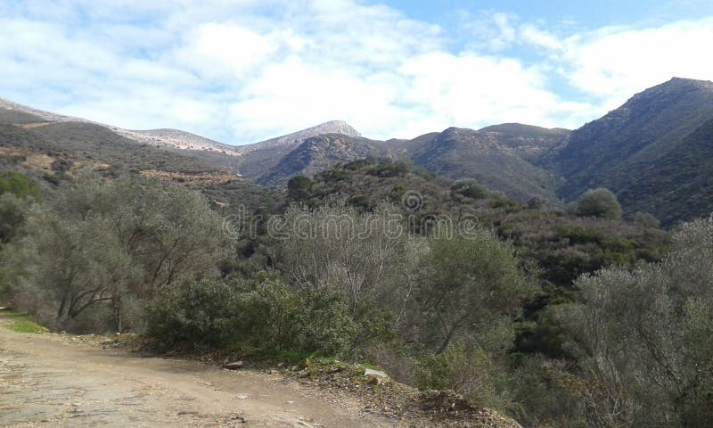 Fodele stock image. Image of trees, ecosystem, ecoregion - 85355969