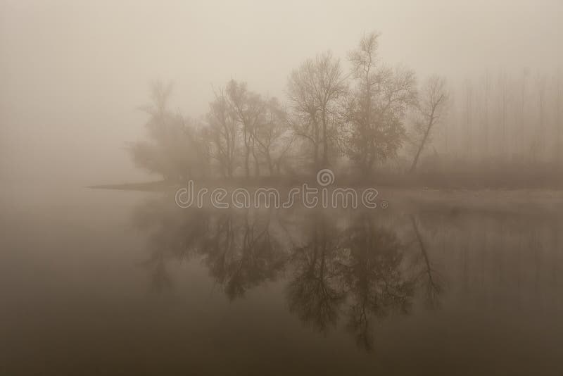 Foggy Swamp stock image. Image of blue, dead, pond, swamp - 1645591