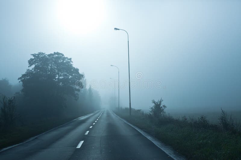 Fog stock image. Image of street, trees, morning, road - 27230991