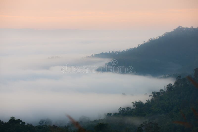 Fog Above the Forest in Minimalist Stock Photo - Image of smooth, foggy ...