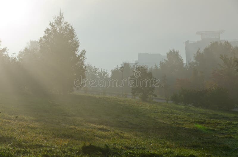 Fog above green grass stock image. Image of autumn, mist - 42344485