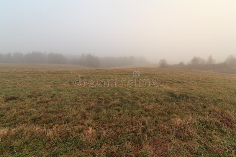 Fog on an autumn field stock photo. Image of natural - 27611788
