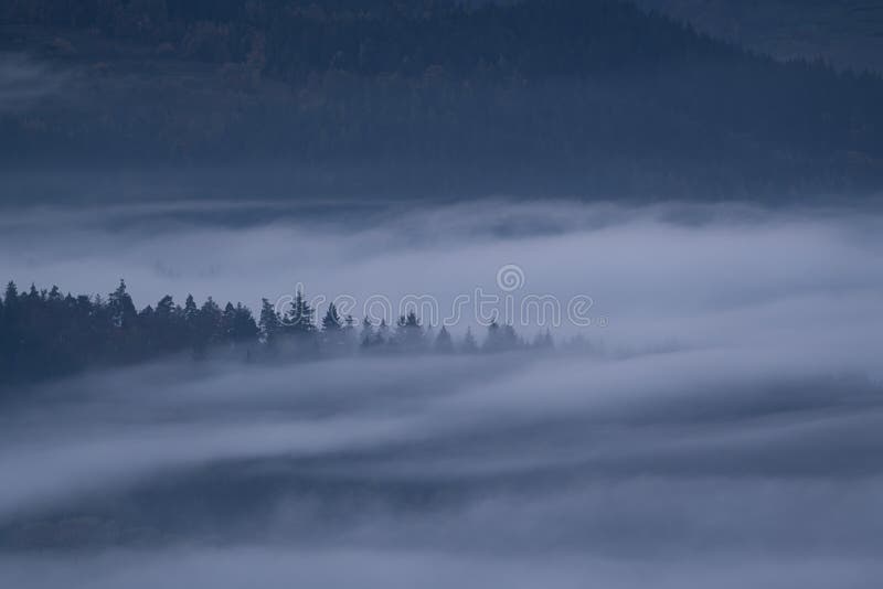 Fog during the Blue Hour in the Black Forest Stock Image - Image of ...