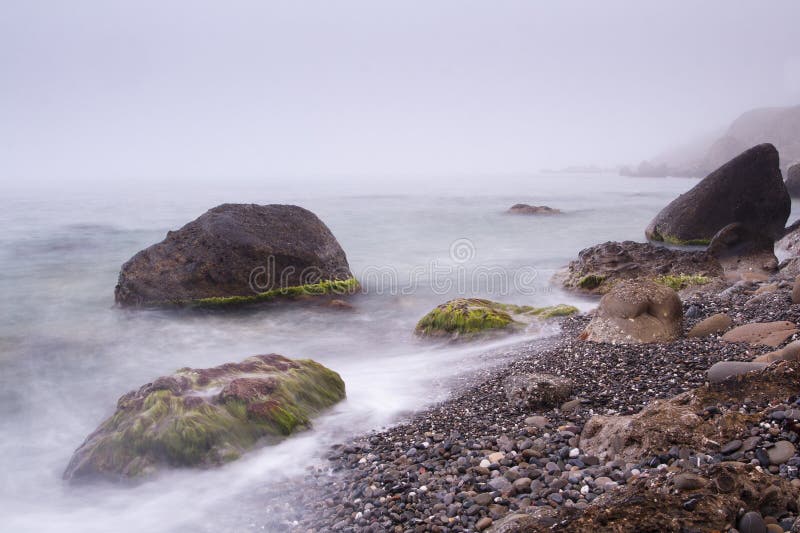 Fog on the Coast stock image. Image of scenic, trees - 121136239