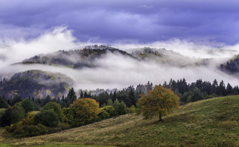 Fog and Colored Trees - Autumn in Slovakia Stock Photo - Image of ...