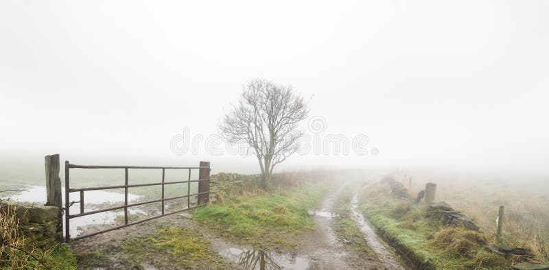 Fog on a country lane stock image. Image of britain, effect - 50080049
