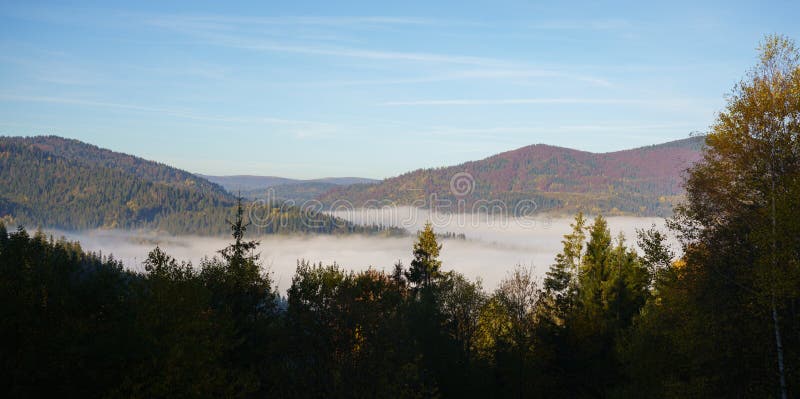 Fog Covers Pine Forests on Carpathian Mountains in Ukraine Stock Image ...