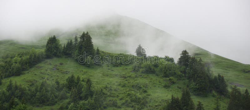 Fog Creeping Over Bright Green Meadows and Mountain Forests Stock Photo ...